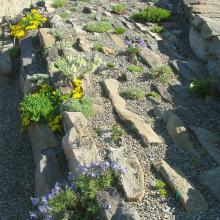 North American Rock Garden Society