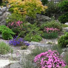 North American Rock Garden Society