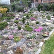 North American Rock Garden Society